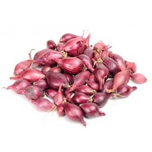 Home - Fresh To Door