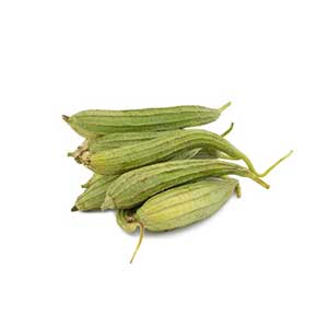 Ridged Gourd India-Per Kg - Freshtodoor.ae